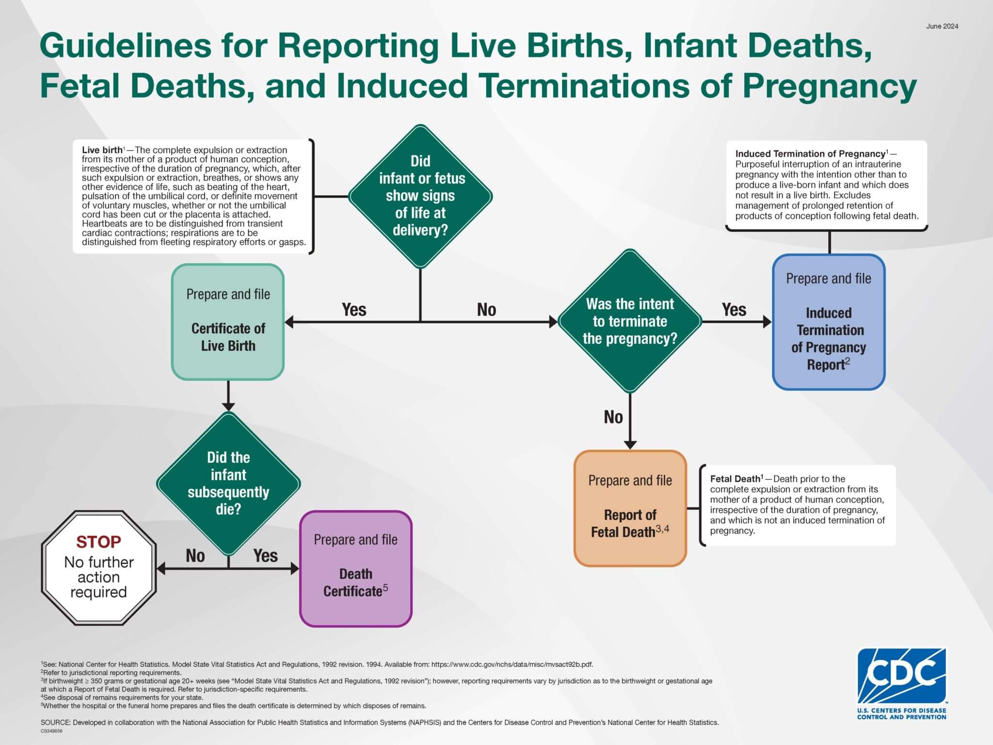 Guidelines for Reporting Live Births, Infant Deaths, Fetal Deaths ...