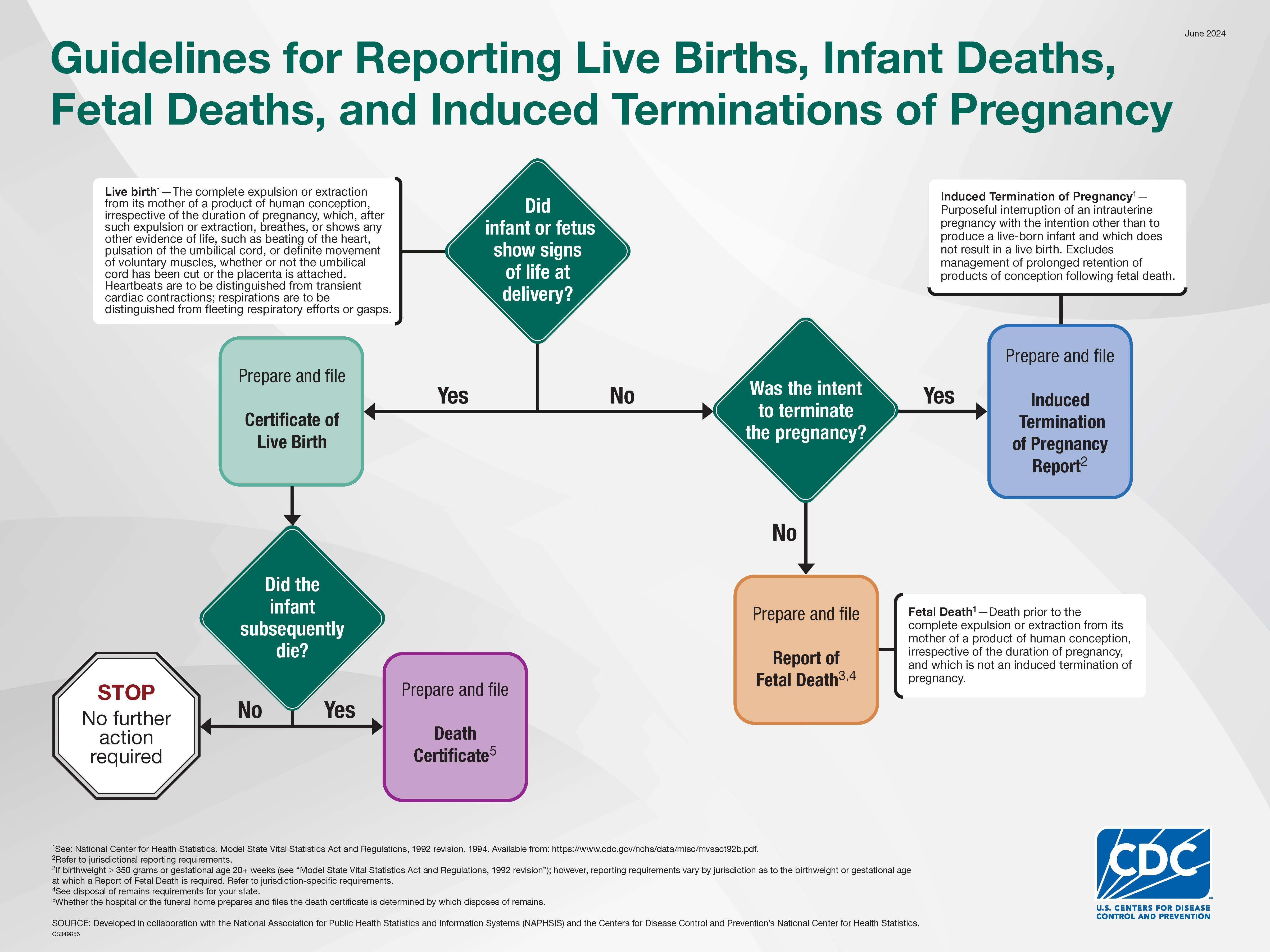 Guidelines for Reporting Live Births, Infant Deaths, Fetal Deaths & ITOPs - NAPHSIS